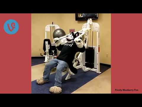 Furry Vine Compilation #5 100+ Vines 2017 Ft Kero The Wolf, Telephone and More