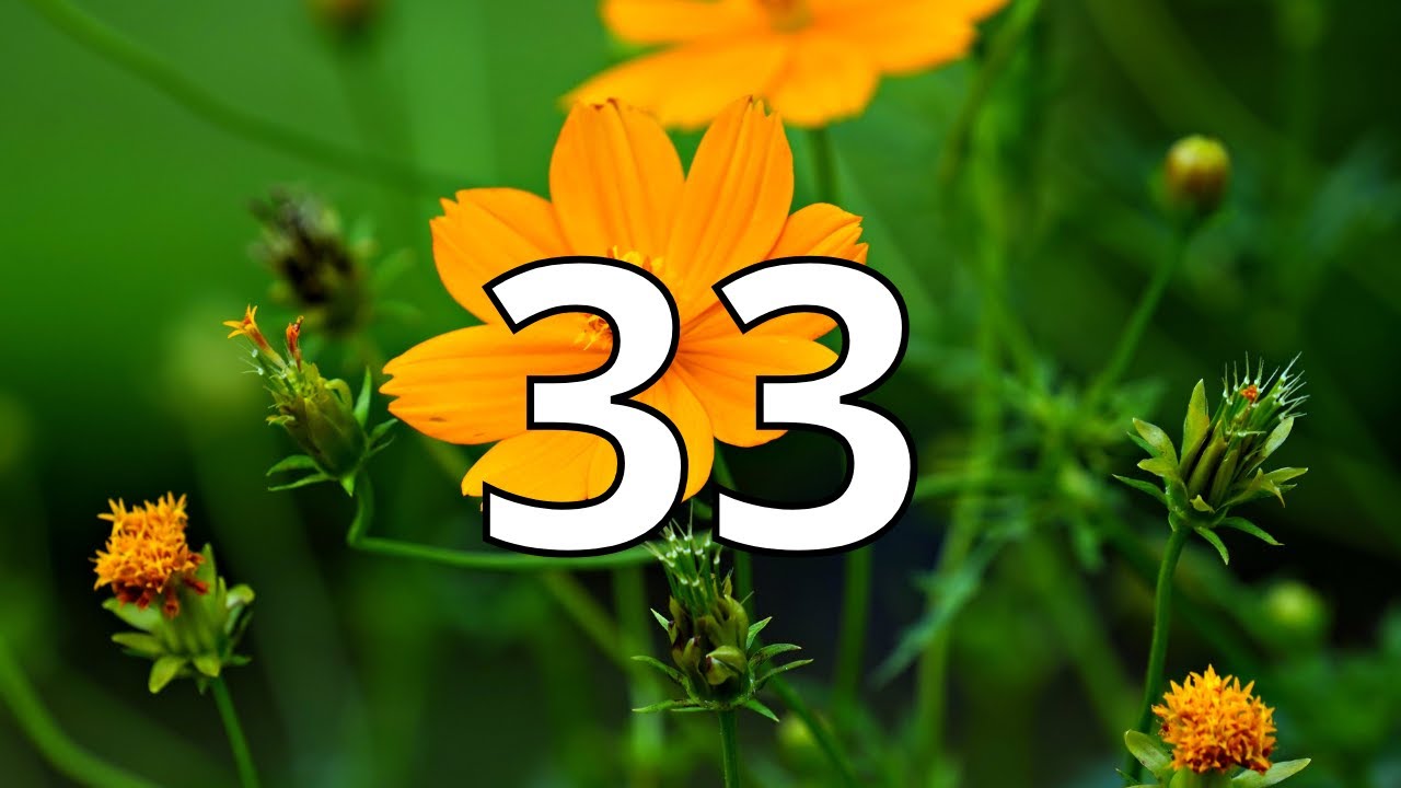 33 Second Countdown Timer With Alarm Sound At the End(Simple Beep ...