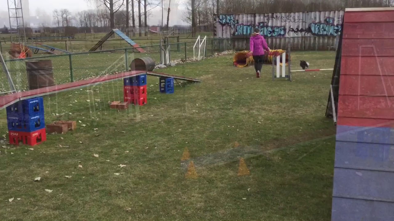 Primrose training 28/1 - YouTube