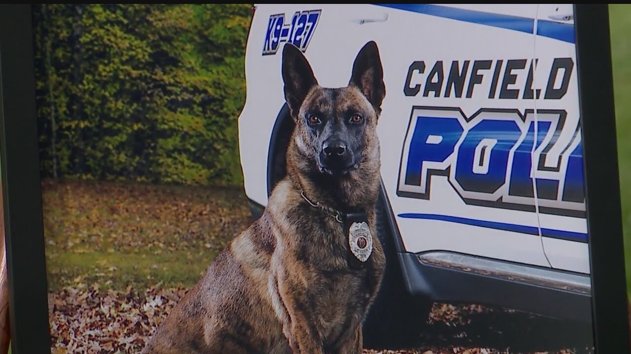 Canfield police say goodbye to K-9 during memorial service - YouTube
