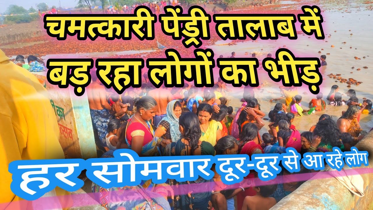 Chamatkari Pandri Talab lormi talab pendri talab vlog viral #vlog - YouTube