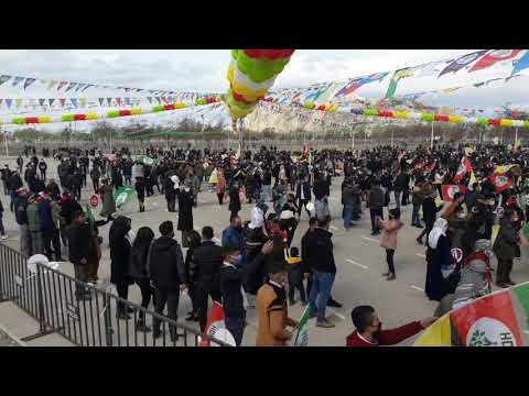 van newrozu başladı