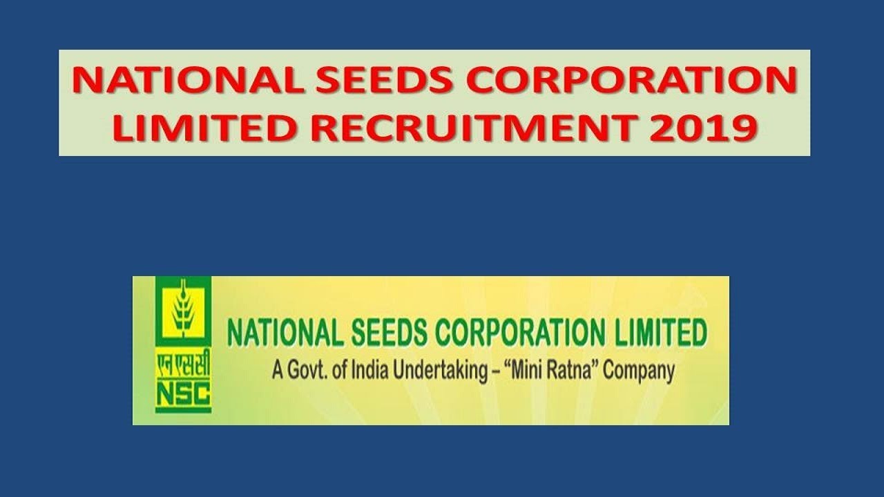 NATIONAL SEEDS CORPORATION LIMITED RECRUITMENT 2019 || NSC - YouTube