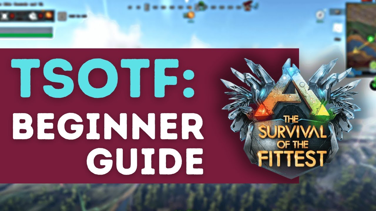 TSOTF: The ultimate Beginners-Guide - YouTube