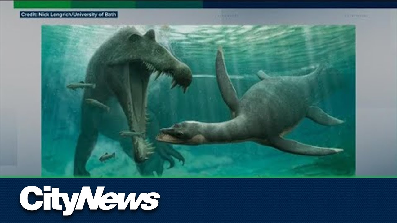 Fossil discovery suggests Loch Ness Monster may have actually existed ...