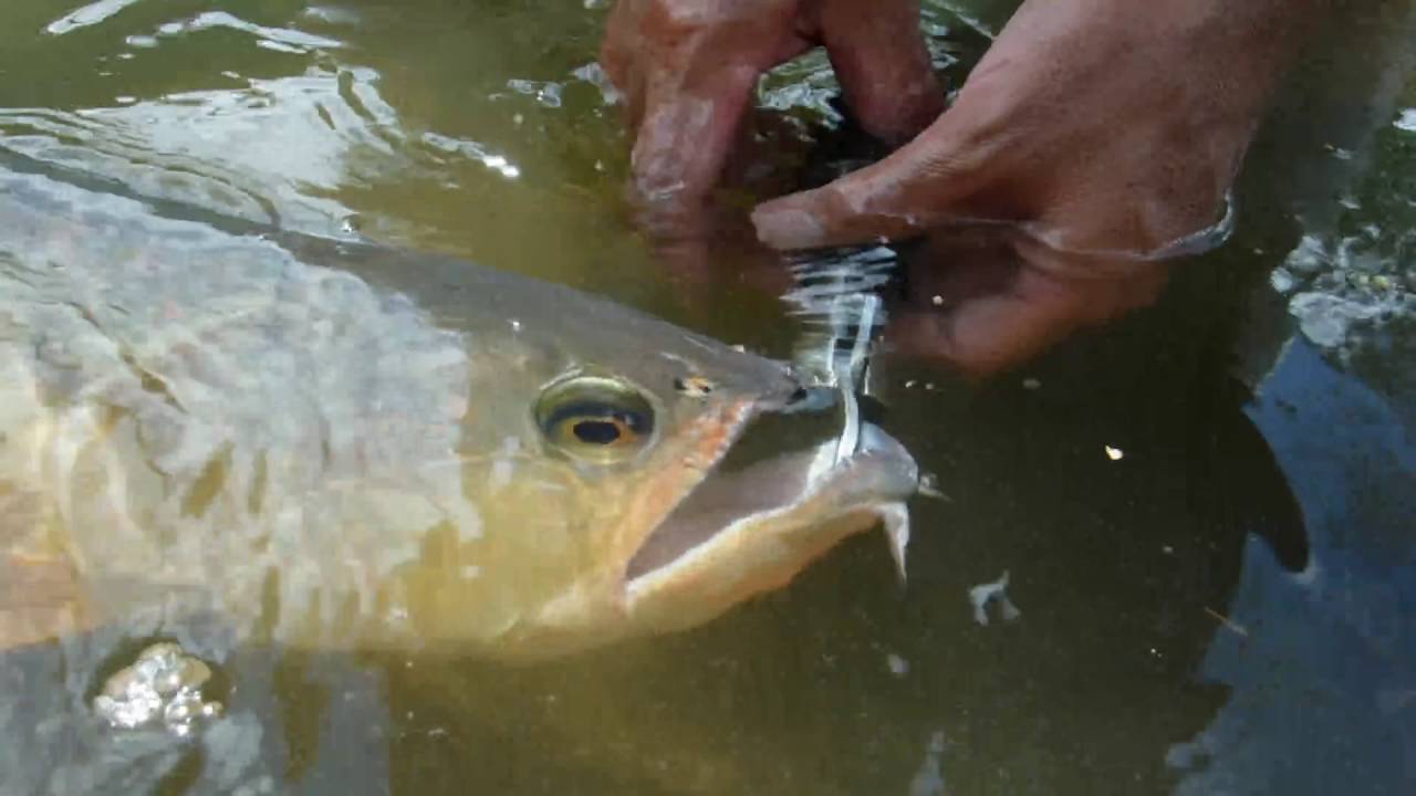 Southern Saratoga - YouTube