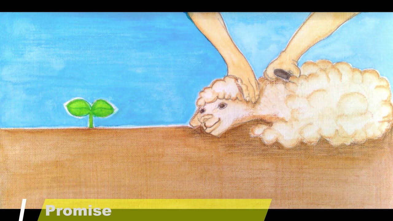 Promise II نجات دہندہ کا وعدہ II Story 7 - YouTube