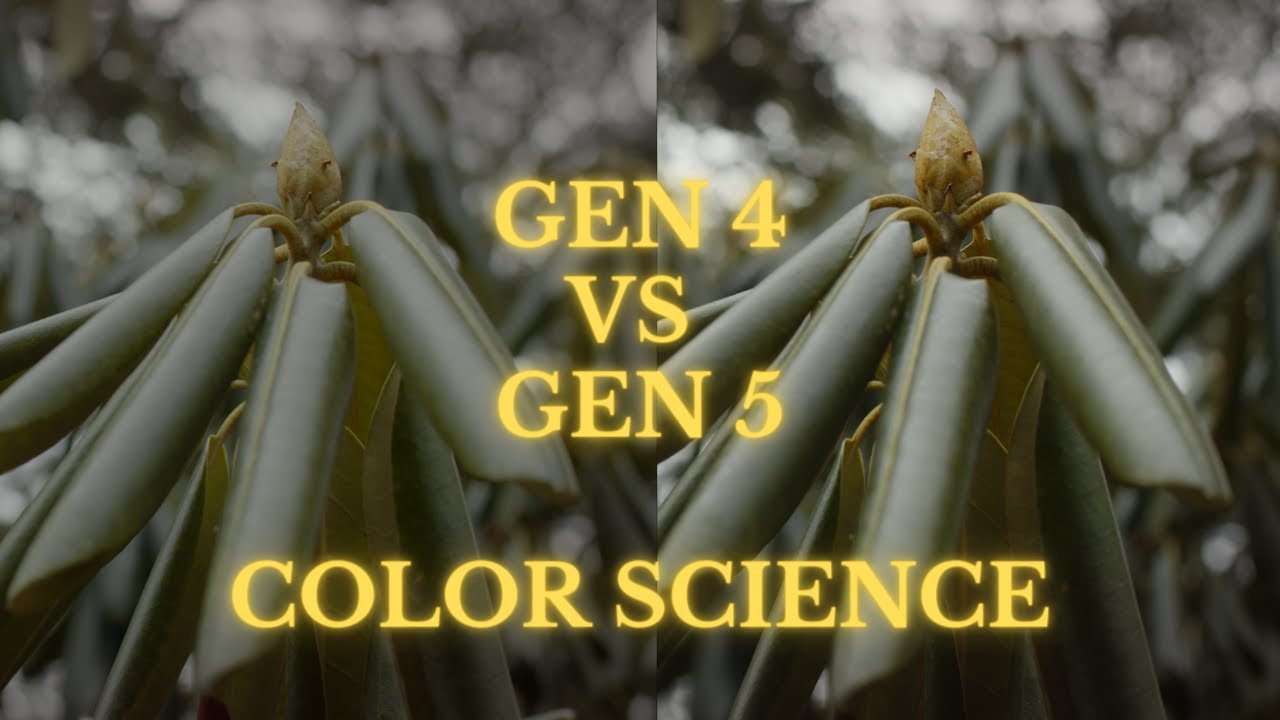 Blackmagic Design Gen 4 vs Gen 5 Color Science Cinematic Test Footage ...