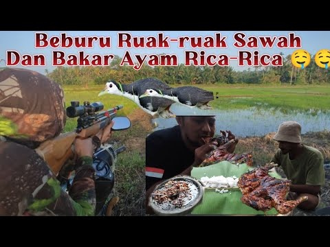 Berburu Burung Sawah dan Bakar Rica-rica|| #OmVikarAdventure - YouTube
