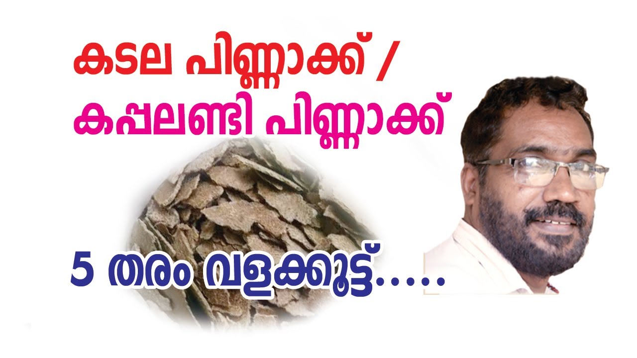 Kadala pinnaku | Peanut Cake, Ground Nut Fertilizer | കടല പിണ്ണാക്ക് ...