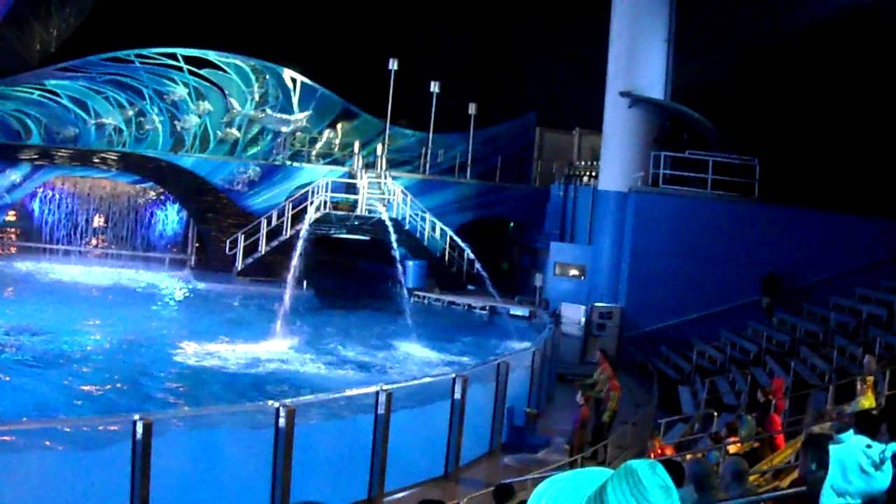 SHAMU ROCKS - YouTube