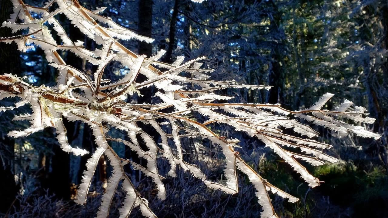 Bald Mountain, Top Spur Trail with Jackie, and random stuffs - YouTube