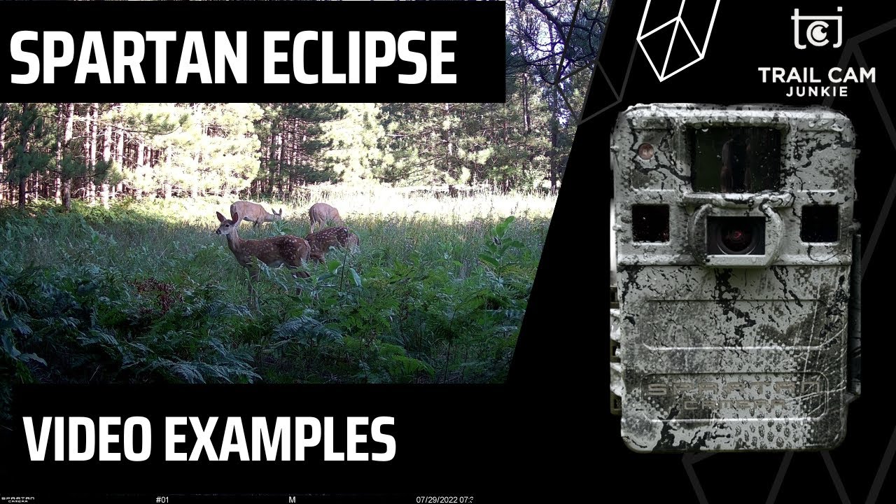 Video Examples of a Spartan Eclipse Trail Camera - YouTube