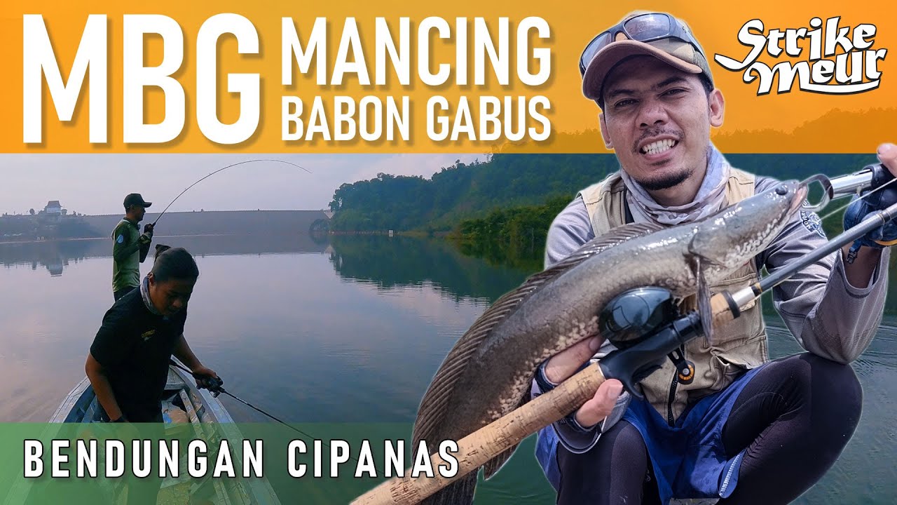 MBG / MANCING BABON GABUS BENDUNGAN CIPANAS SUMEDANG PART 1 - YouTube
