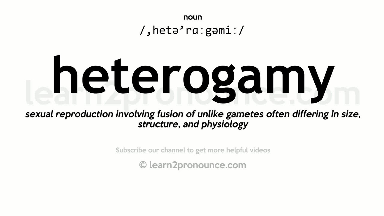 Pronunciation of Heterogamy | Definition of Heterogamy - YouTube