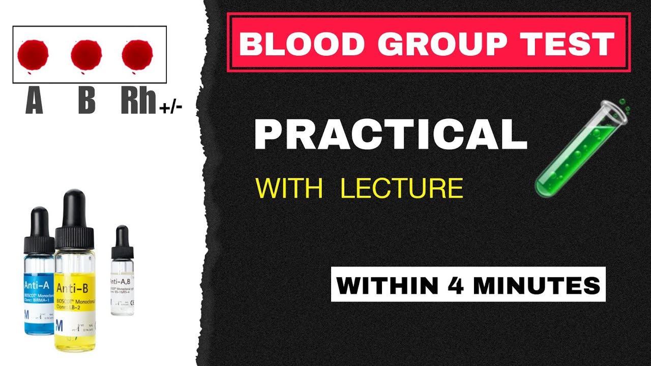 Blood group test 🩸|| How to test blood group - YouTube