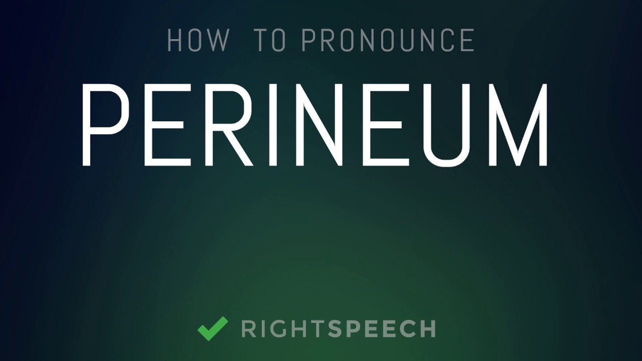 Perineum - How to pronounce Perineum - YouTube