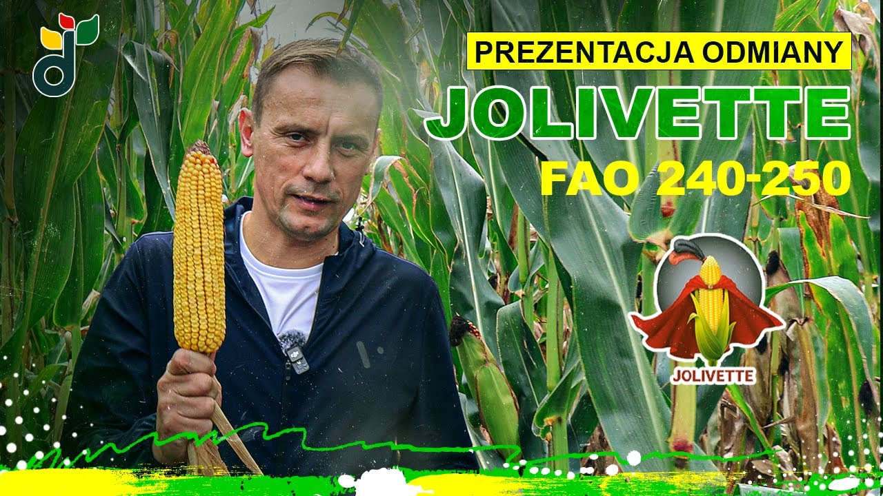 🌽 JOLIVETTE - Mniej wody, więcej ziarna @WIALANLangeriWiatr | # ...