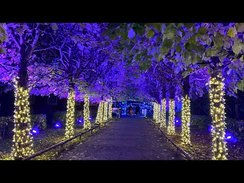 Winter Lights at Skansen Museum in Stockholm, Sweden - YouTube
