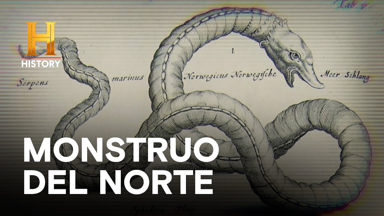 El Enigma de Cressie: ¿críptido, engaño o especie desconocida? 🧬 ...