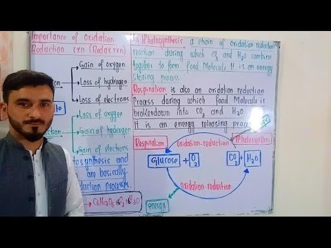 importance of oxidation reduction reaction class 9 ll importance of ...