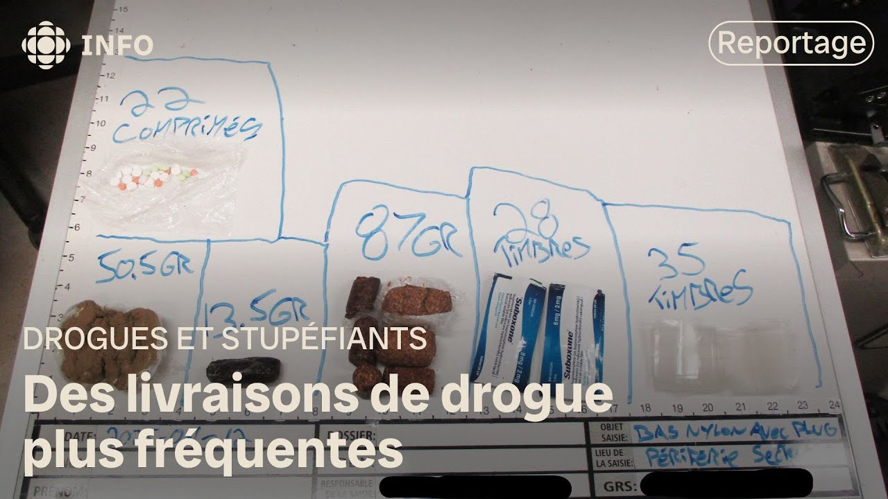 Une quantité importante de drogues saisies à la prison de Rimouski ...
