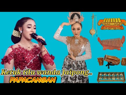 JAIPONGAN TERBARU LAGU PAPACANGAN - JAIPONG LAGU #papacangan TERBARU 2024