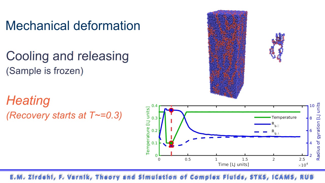 Simulation of shape-memory polymers - YouTube
