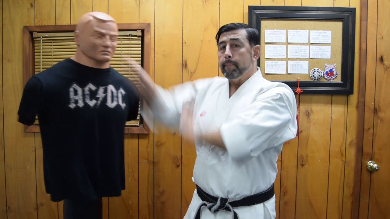 Ippon Ken in Karate Step by Step - YouTube