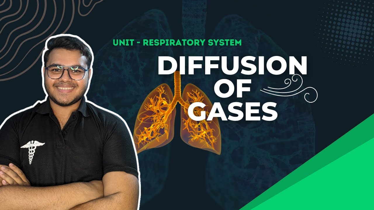 Respiratory System MBBS First year | Diffusion of gases | mbbs human ...