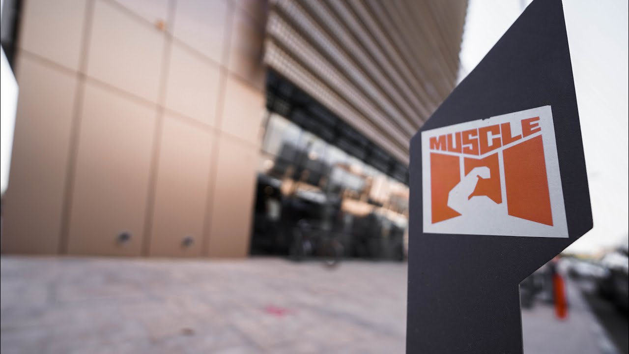 The Muscle GYM - OverView #2022 - YouTube