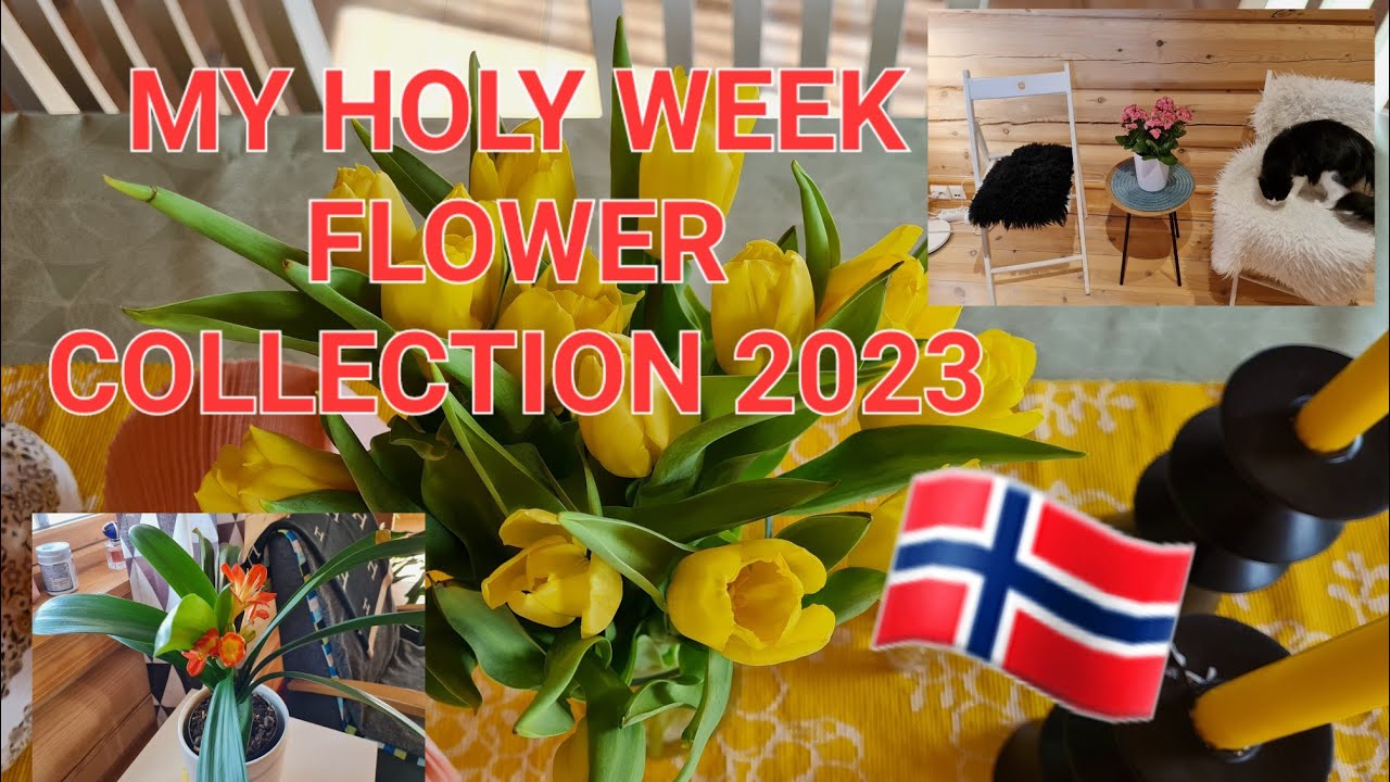 MY HOLY WEEK FLOWER COLLECTIONS//BLESSED BEYOND MEASURE - YouTube