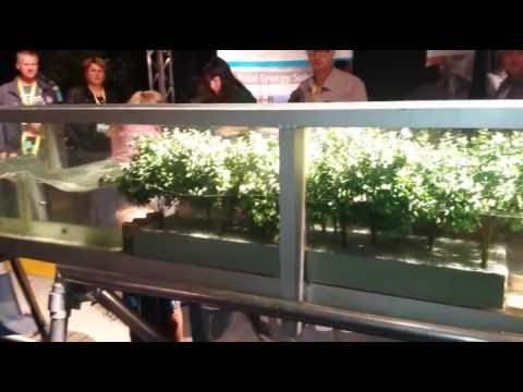 Scale model showing how mangrove forests protect the coast from wave ...