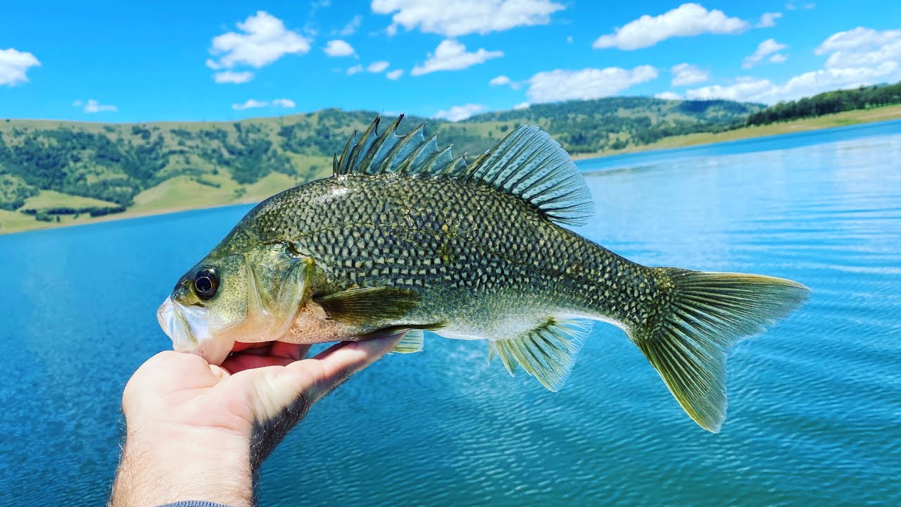 Lake St Clair Australian Bass Fishing - YouTube
