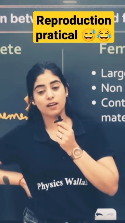 Reproduction Pratical funniest 😆/shorts/ - YouTube