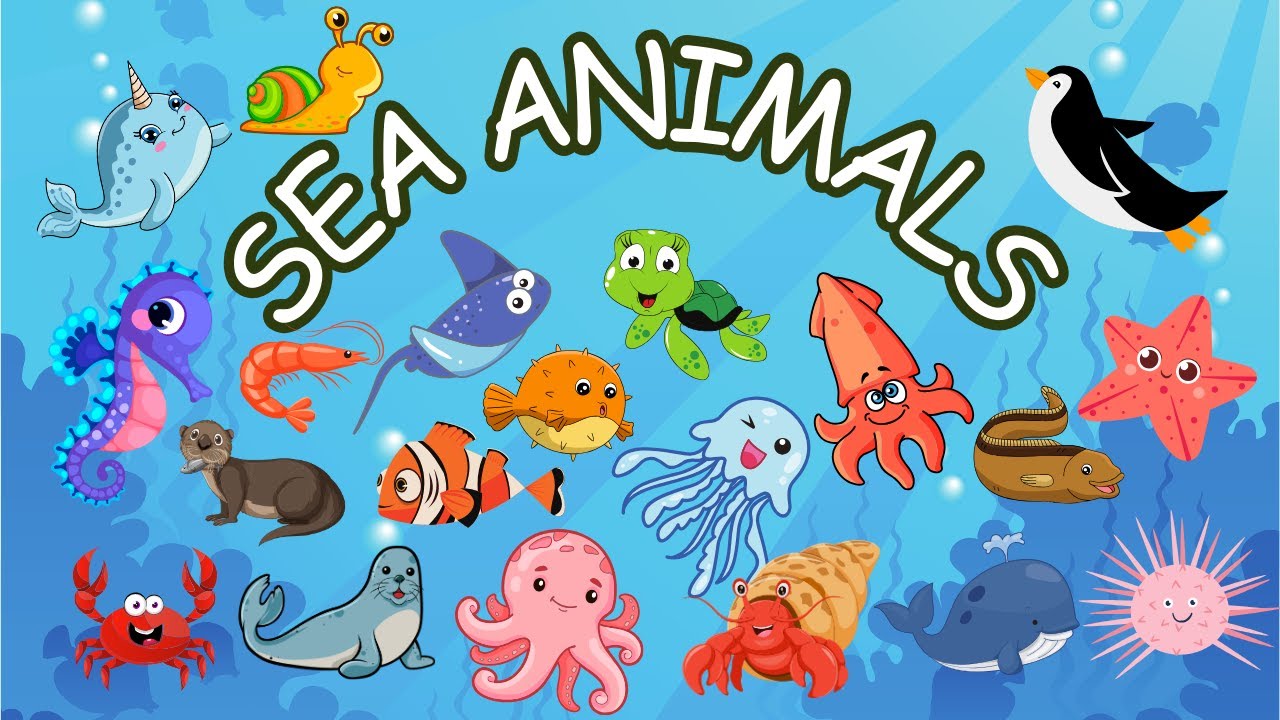 See animals | kids vocabulary | learn english for kids | english ...
