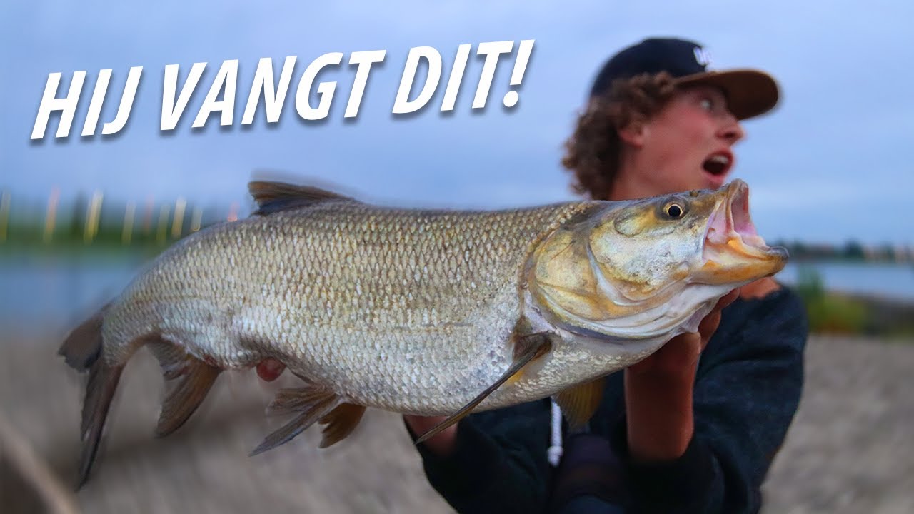 GROTE ROOFBLEIEN IN DE STROMING! (VISSEN op de RIVIER) - YouTube