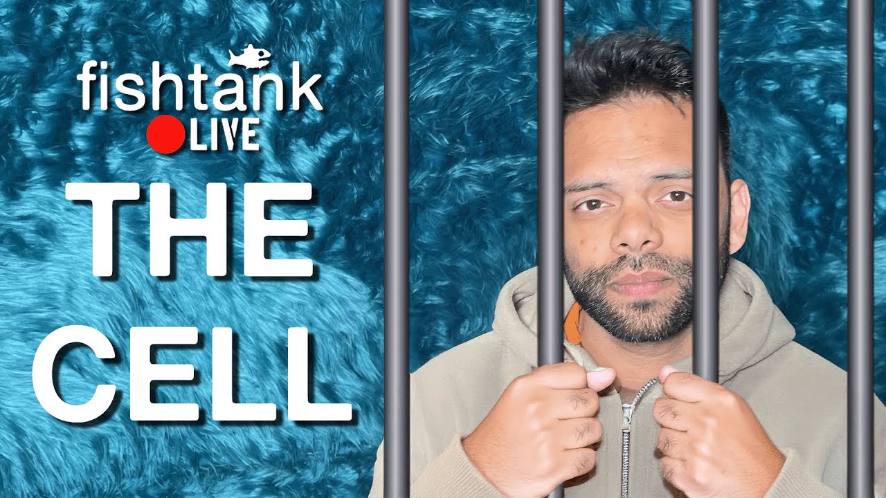 Fishtank S3 | DAY 15 | THE CELL - YouTube