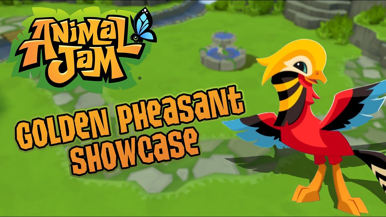 Animal Jam - Animal Showcase: Golden Pheasant - YouTube