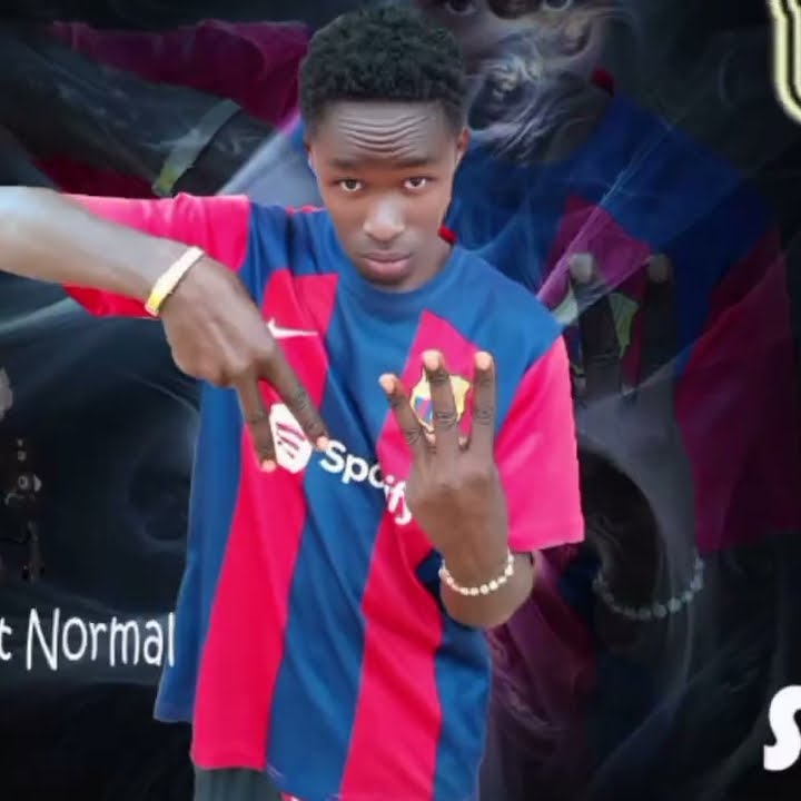 NORMAL AIN'T NORMAL BY MIPPY BWAII VIDEO LYRICS BY FABIAN RAYS ...