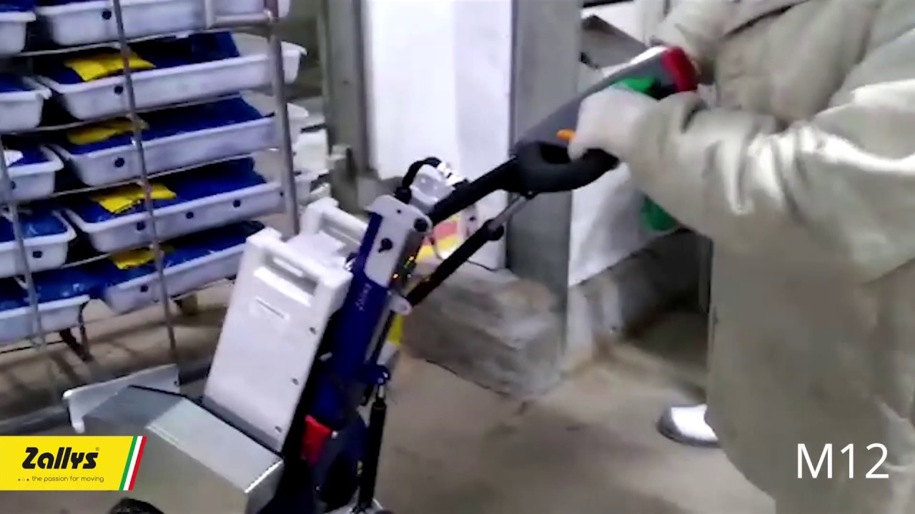 Zallys M12 - Veicolo elettrico compatto per traino carrelli in tunnel e ...