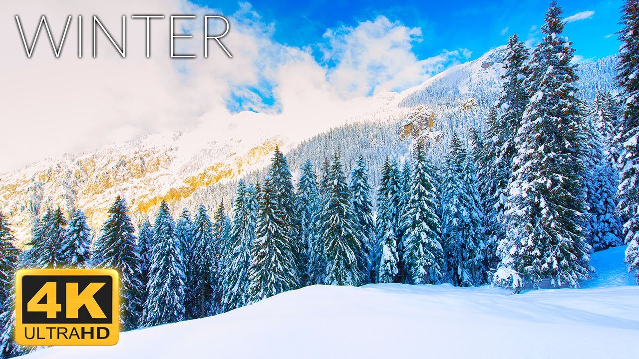 Winter's Tranquil Beauty: A 4K Meditation Video of Peaceful Winter ...