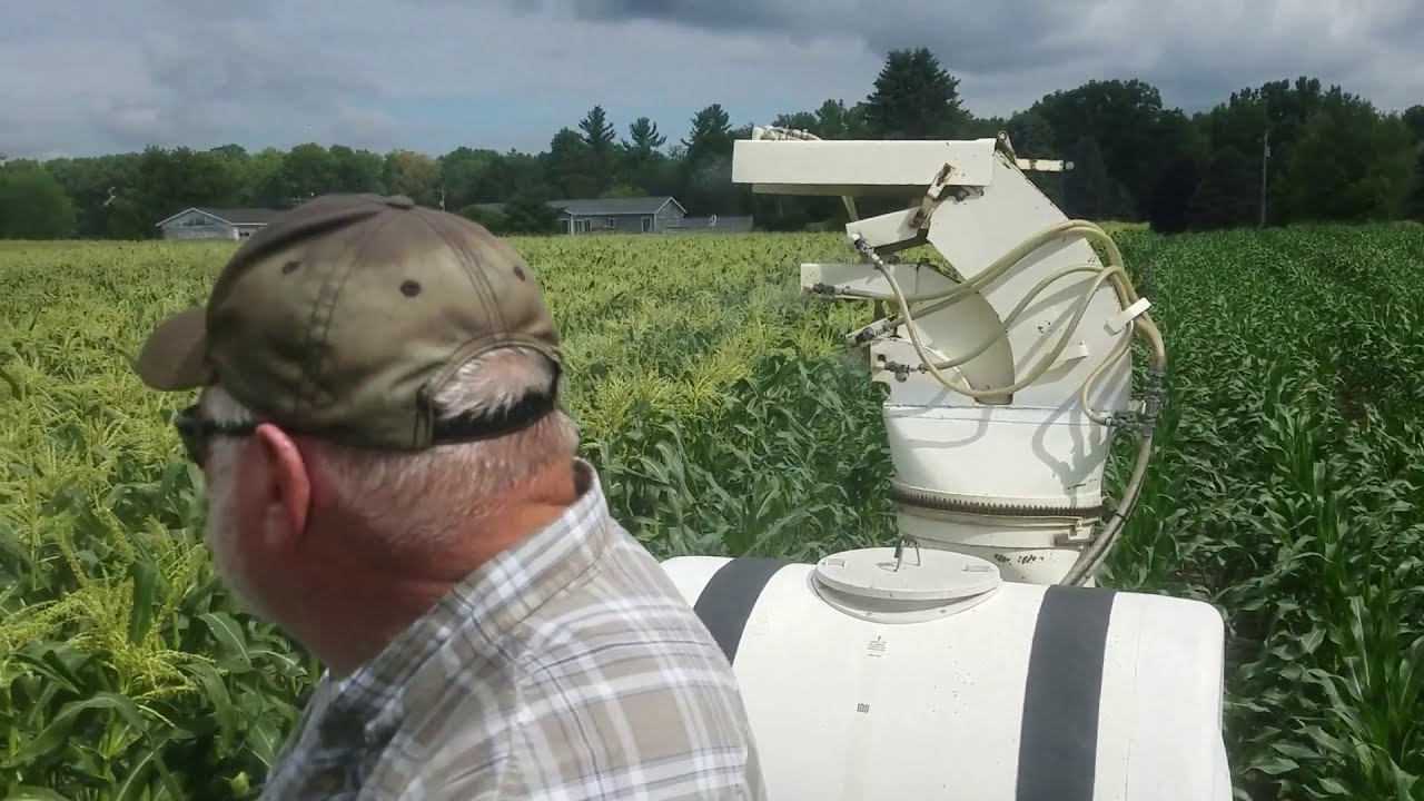 Cannon sprayer in sweet corn - YouTube
