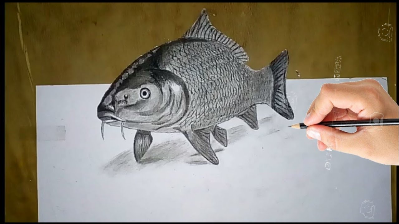 Fish Drawing in 3D - YouTube