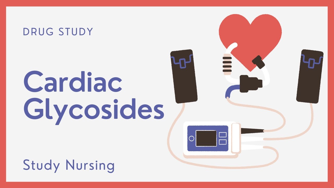 Drug Study# 1 Cardiac Glycoside l Digoxin l Digibind - YouTube