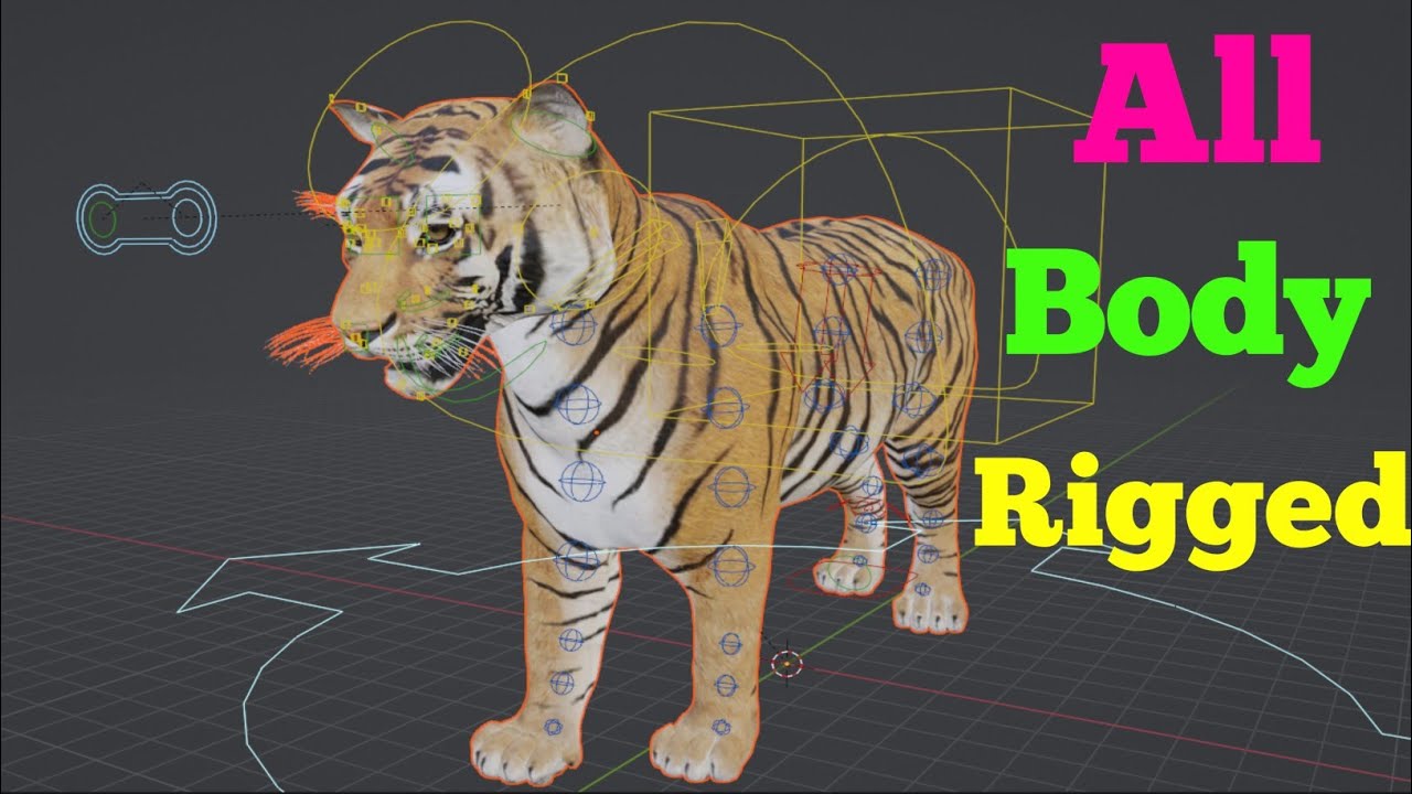 All body rigging animal character in blender. Rig a tiger. Face,eye ...