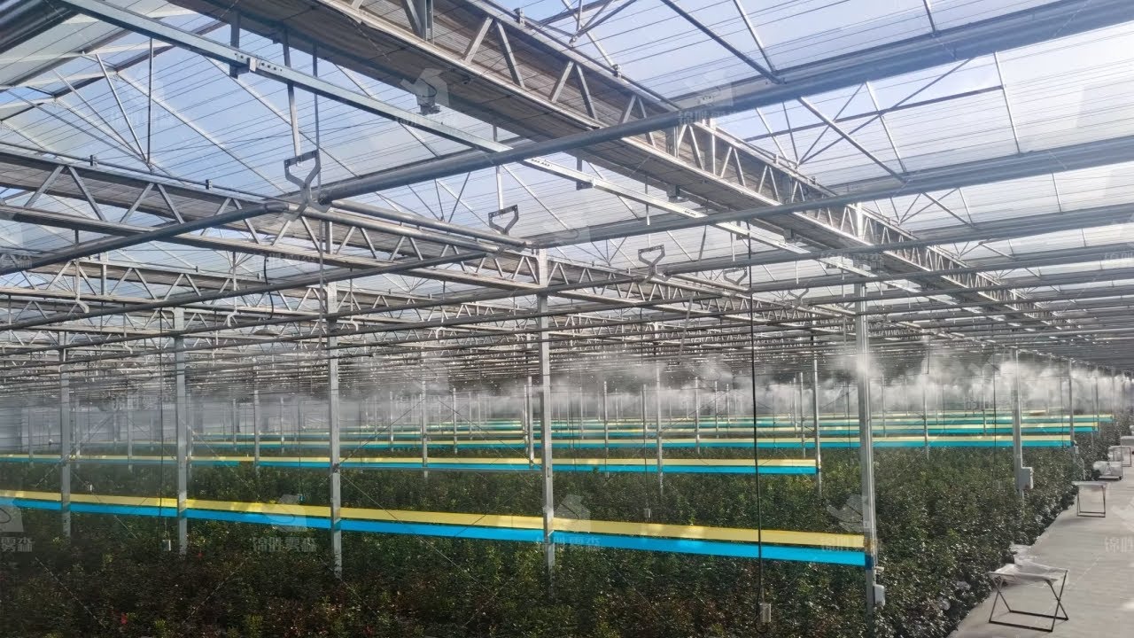 Automated Greenhouse Humidification | Nebufly Misting Systems - YouTube