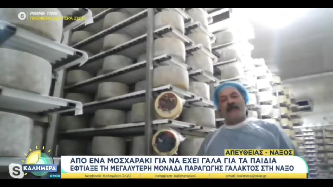 Τυροκομείο Πιτταράς: Το καλύτερο τυρί στην Ελλάδα η Γραβιέρα Νάξου ΠΟΠ ...