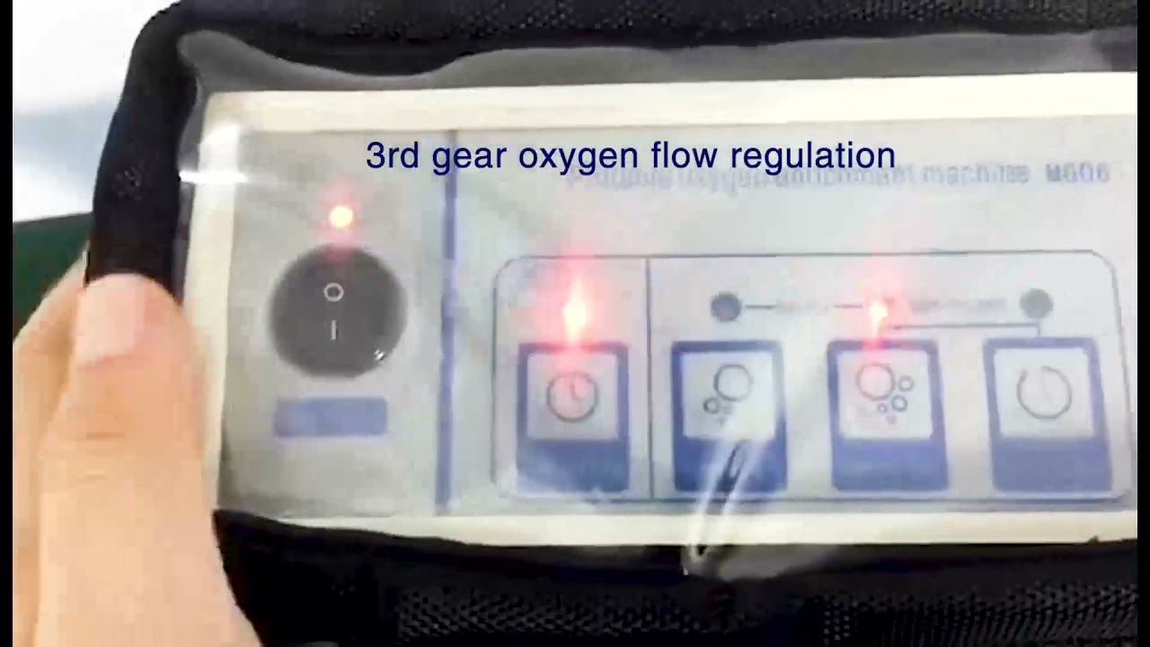 100V-240V Portable Oxygen Concentrator O2 Enrichment Machine with 2 ...