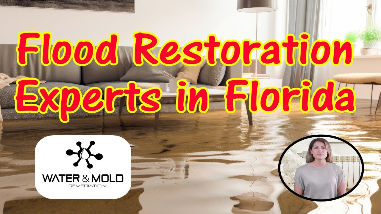 Flood Damage Restoration Flood Clean Up | Flood Restoration Experts in ...